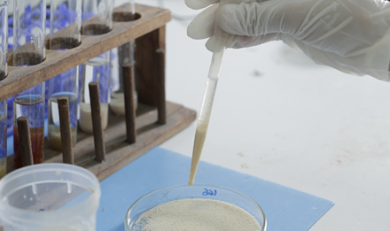 DECAGON LAB & ANALYTICAL TESTING SDN BHD (752781-P)